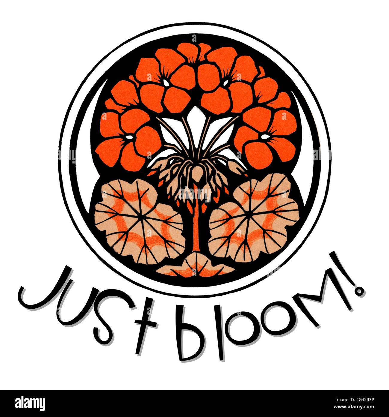 Orange inspirational Cut Out Stock Images & Pictures - Alamy