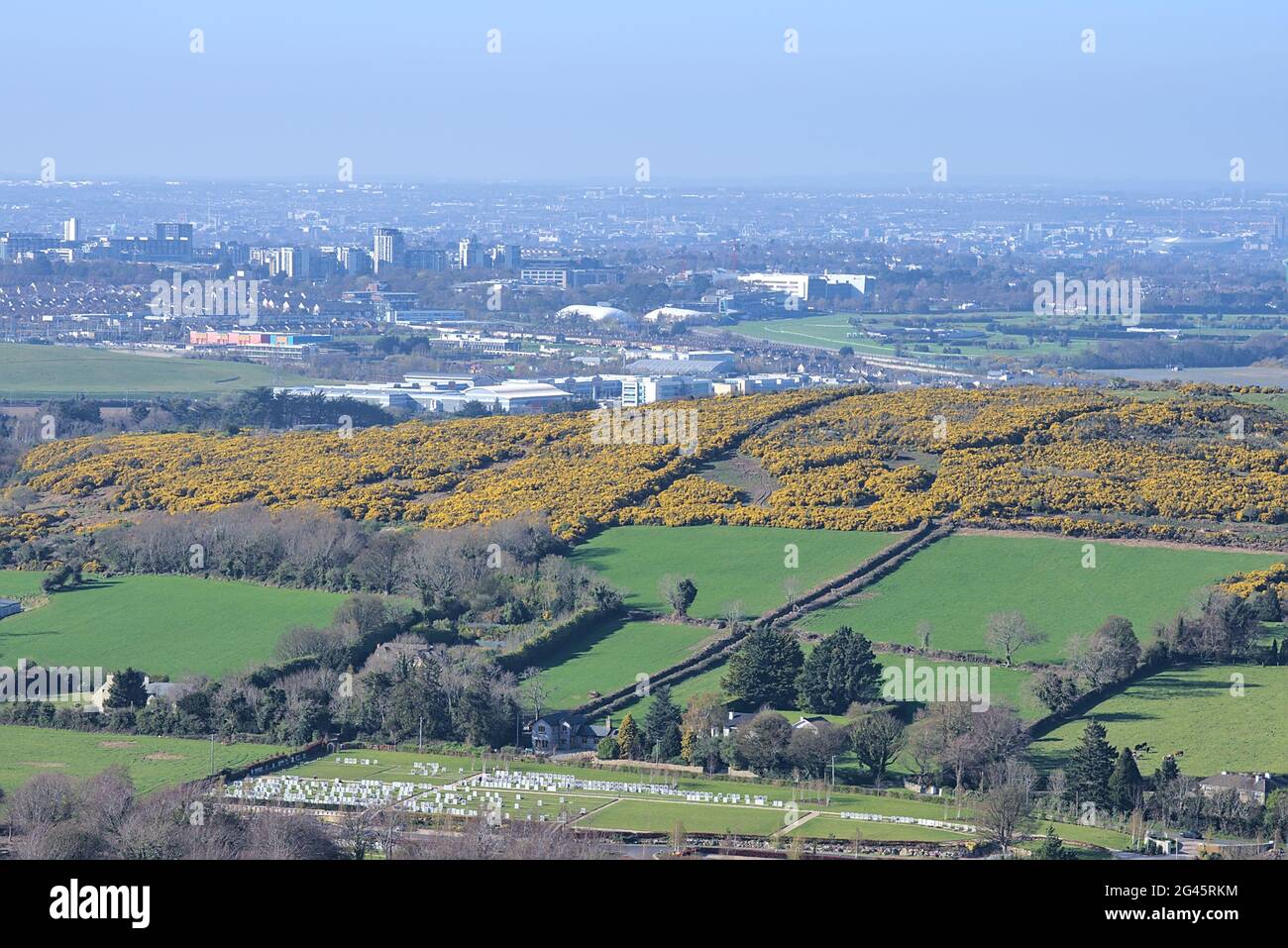 Bright aerial-like view of yellow flowering gorse green fields ...