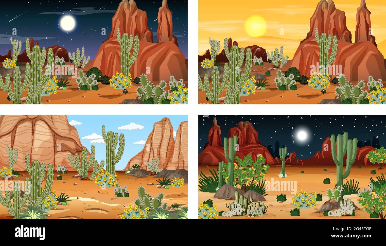 Different desert forest scenes with various desert plants illustration ...