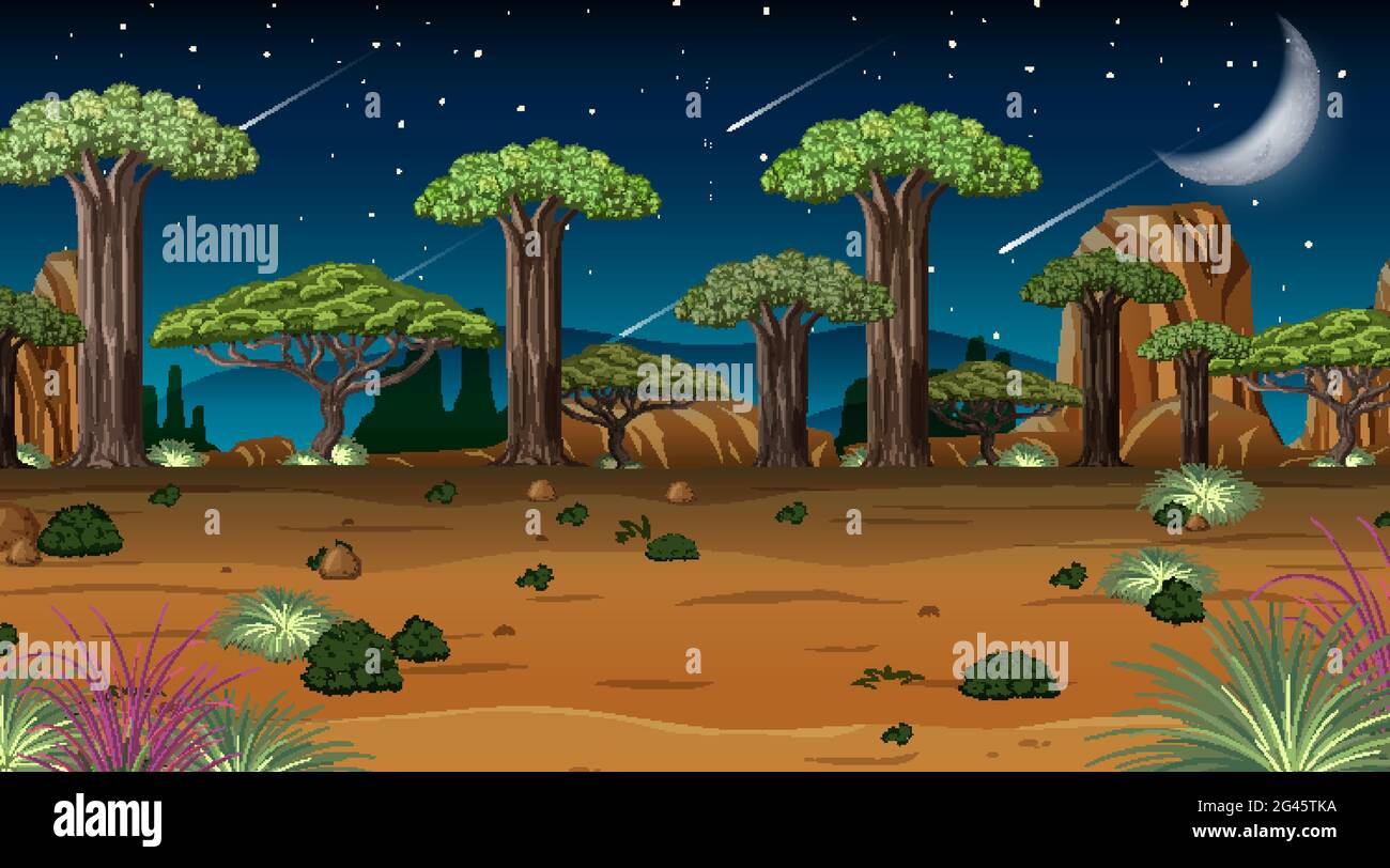 African Savanna forest landscape scene at night illustration Stock ...