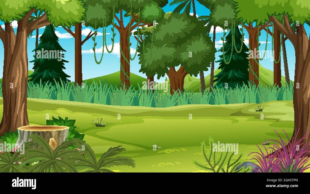 Forest at daytime scene with various forest plant and tree illustration ...