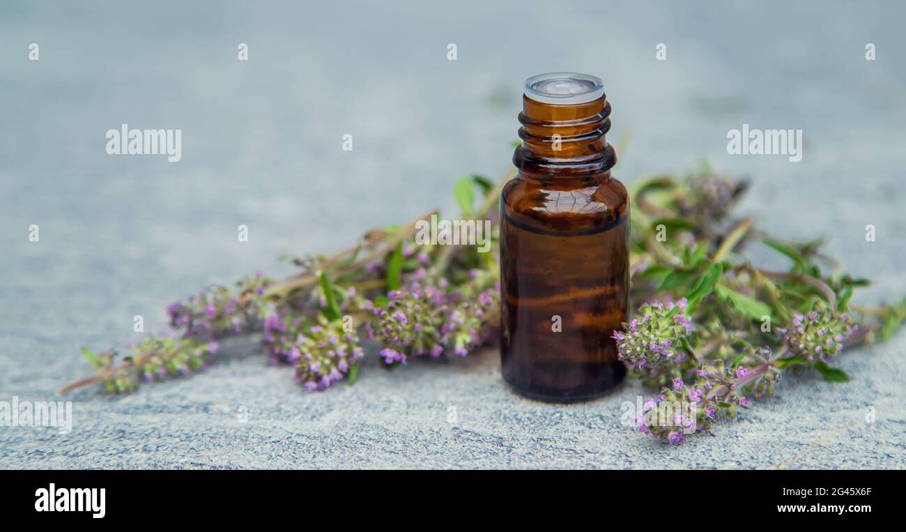 Thyme essential oil thymol hi-res stock photography and images - Alamy