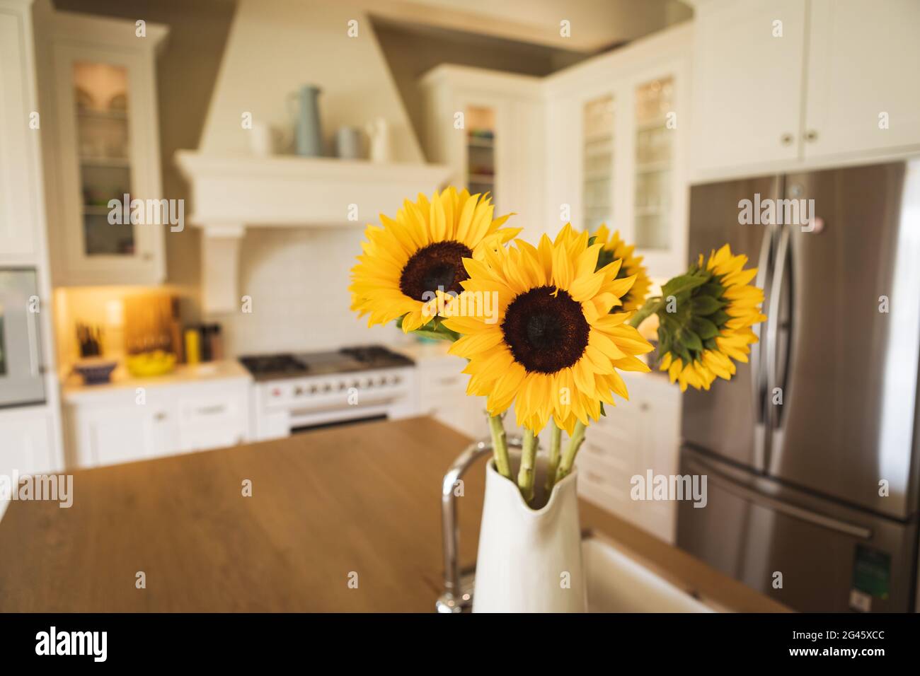 Flower pot in the kitchen Stock Photo - Alamy