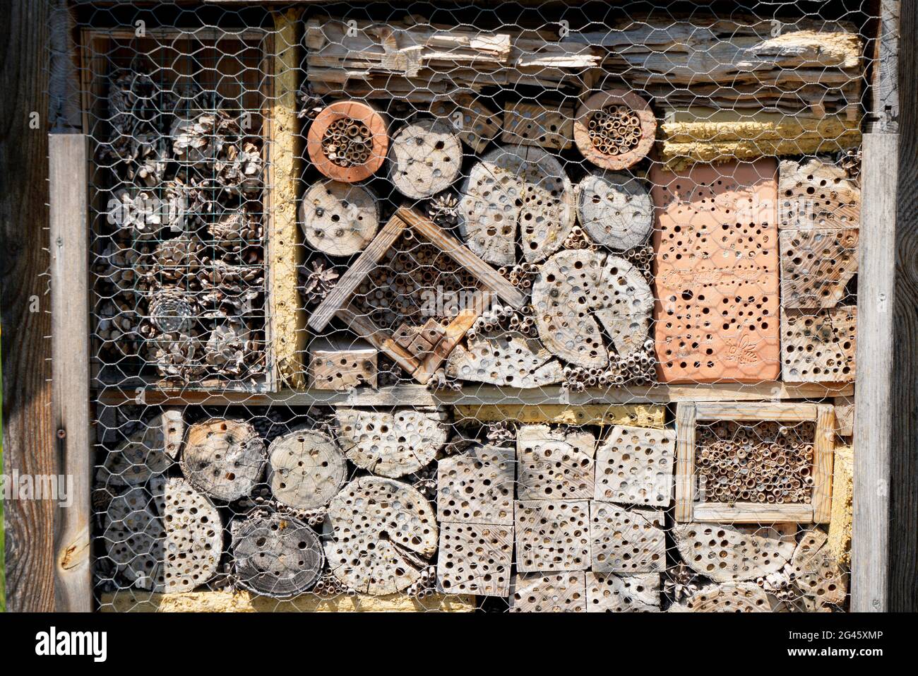 An insect hotel can be easily made from a variety of materials and is ...