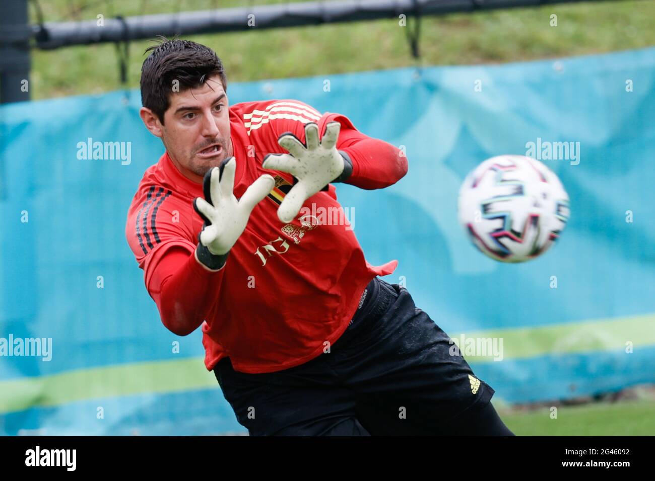 Belgium's goalkeeper Thibaut Courtois pictured during a training ...