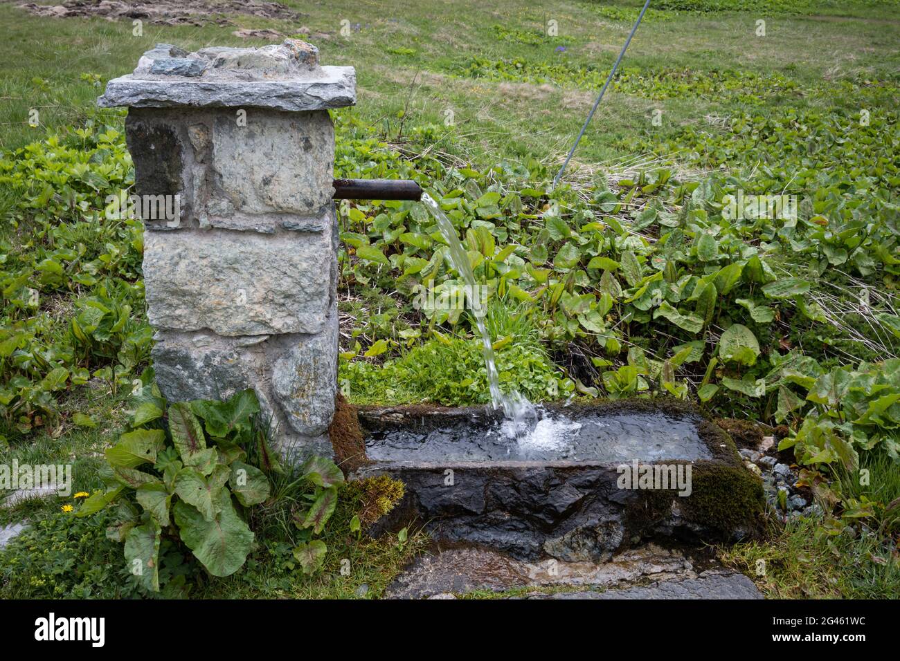 Pure spring water hi-res stock photography and images - Alamy