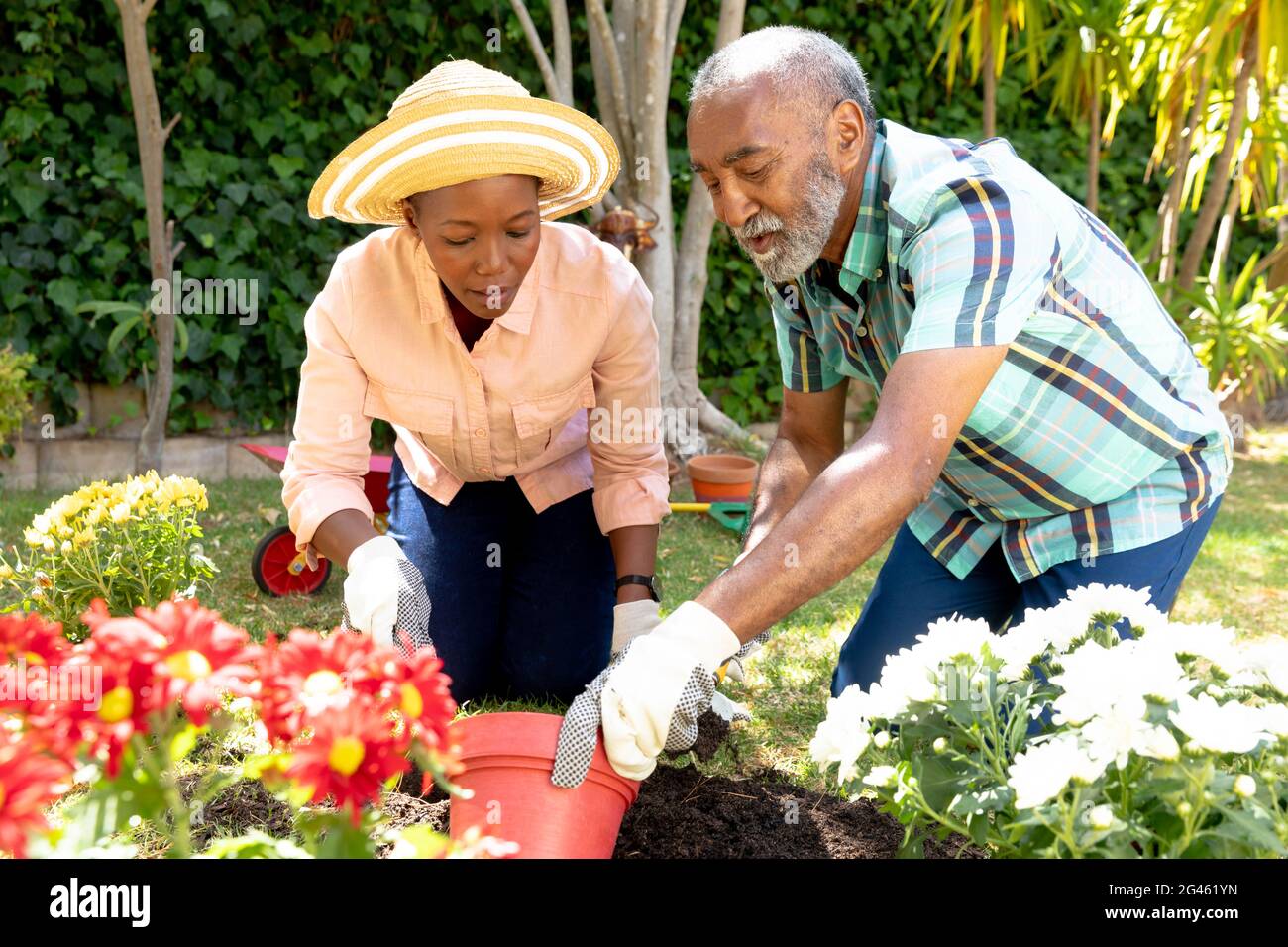 Black People Gardening