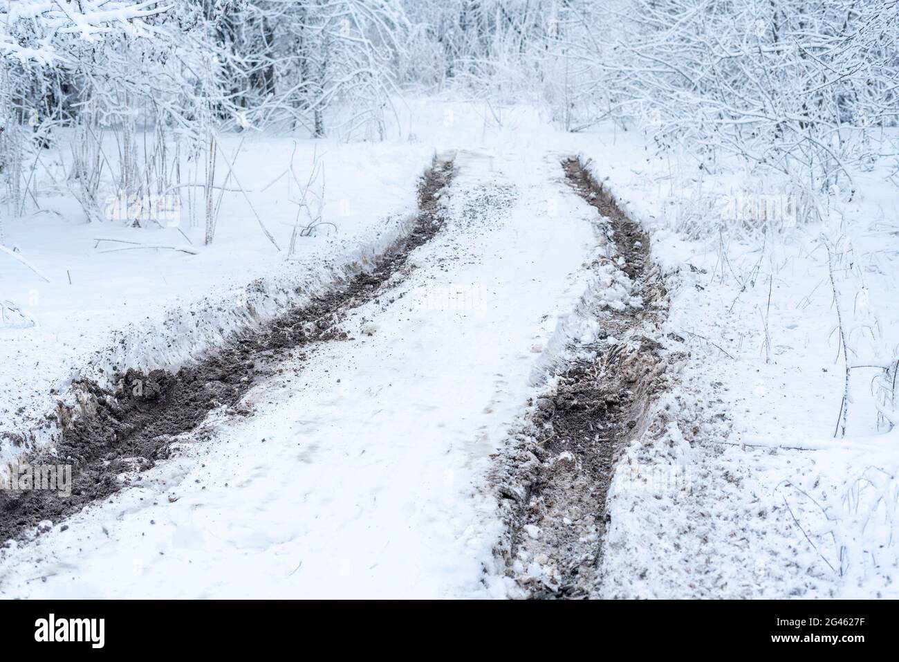 rut track off road of the car, dirt and mud Stock Photo - Alamy