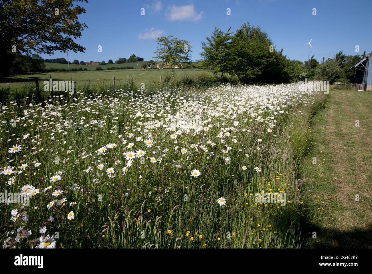 Scattering seeds hi-res stock photography and images - Alamy