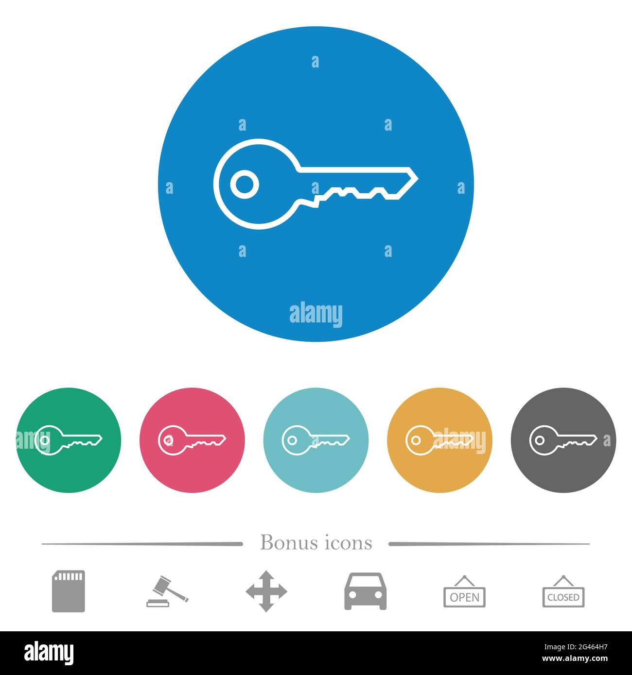 Single safety key outline flat white icons on round color backgrounds ...