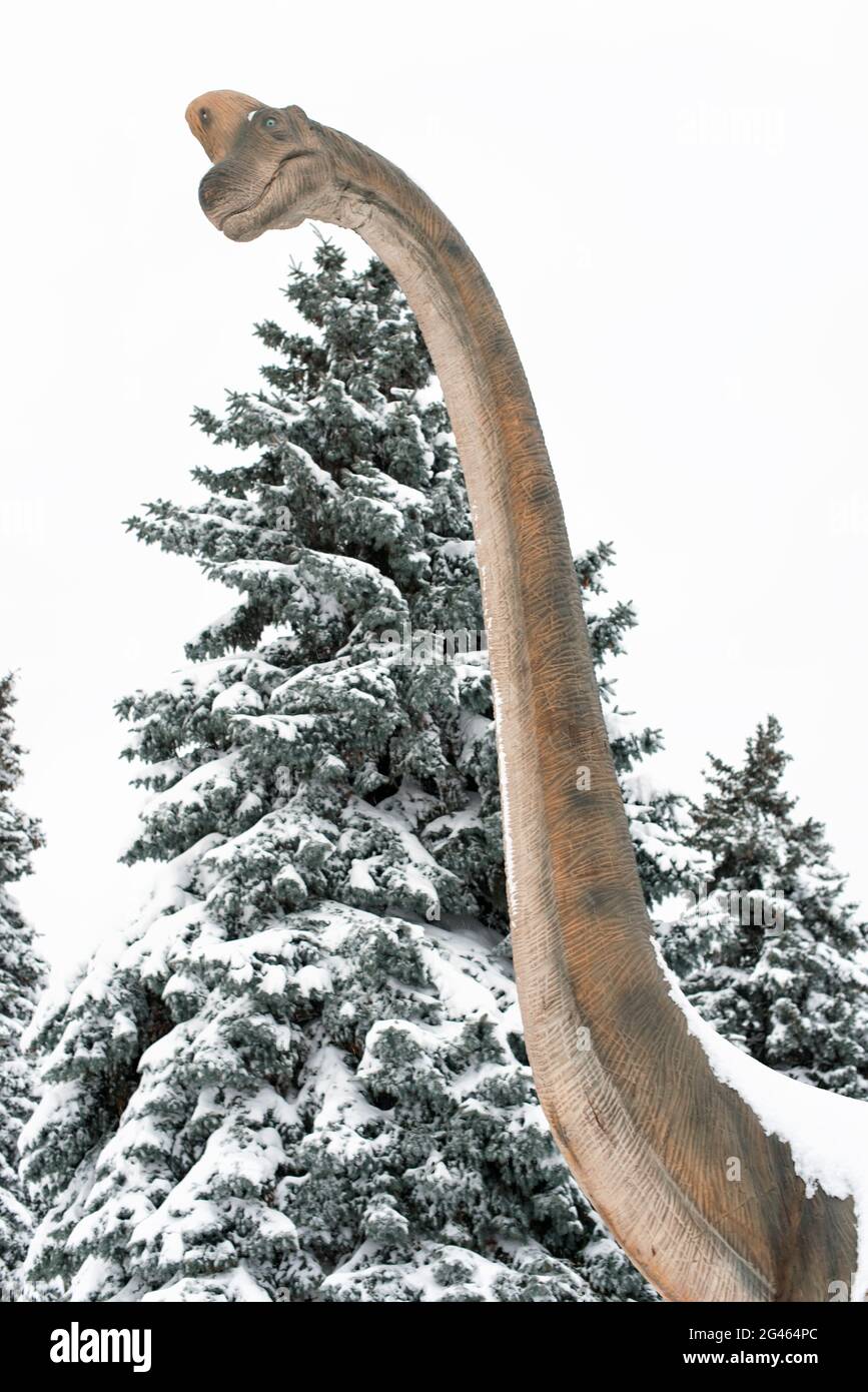 Frozen dinosaur in winter hi-res stock photography and images - Alamy