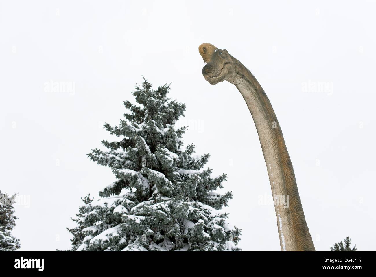 Frozen dinosaur in winter hi-res stock photography and images - Alamy