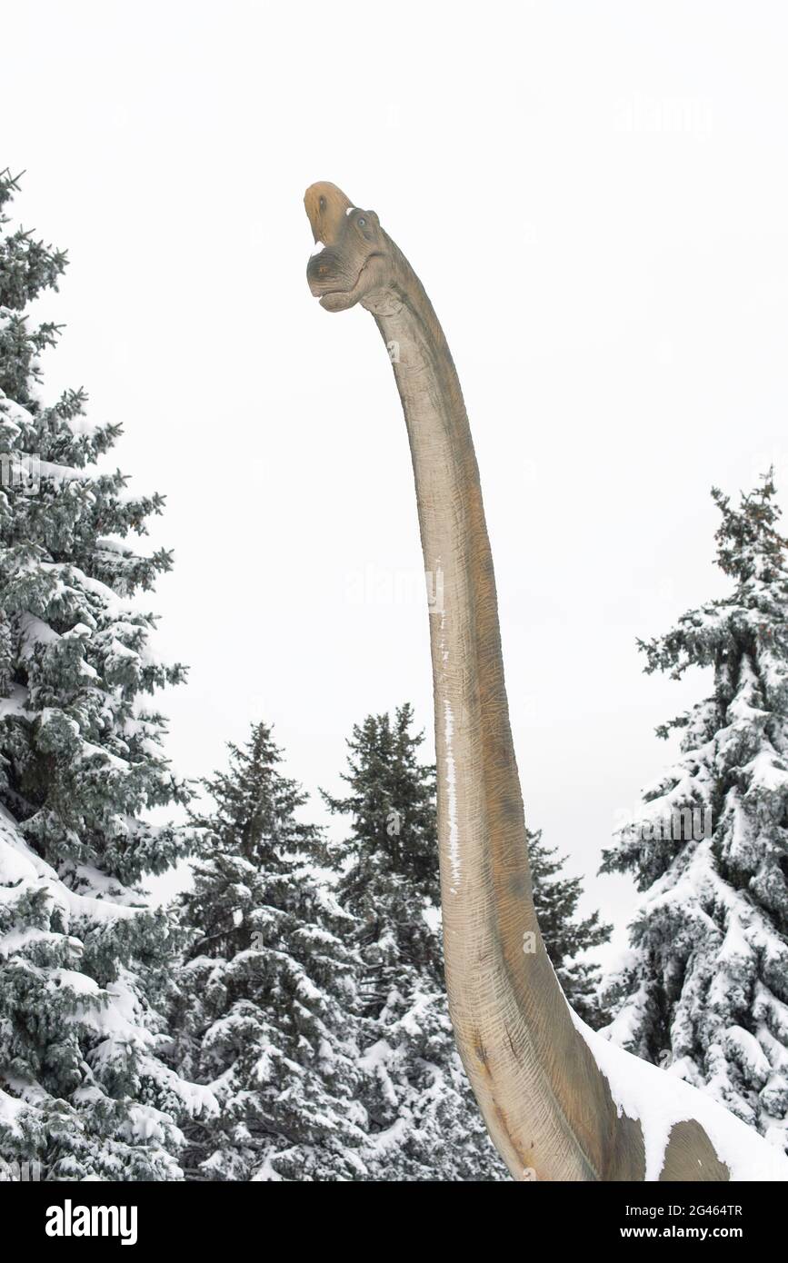 Dinosaur in wild winter hi-res stock photography and images - Alamy