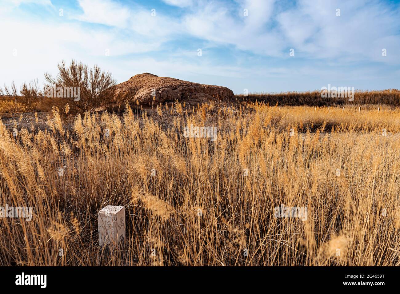 JIUQUAN, CHINA - APRIL 9, 2021 - Photo taken on April 9, 2021 shows the ...
