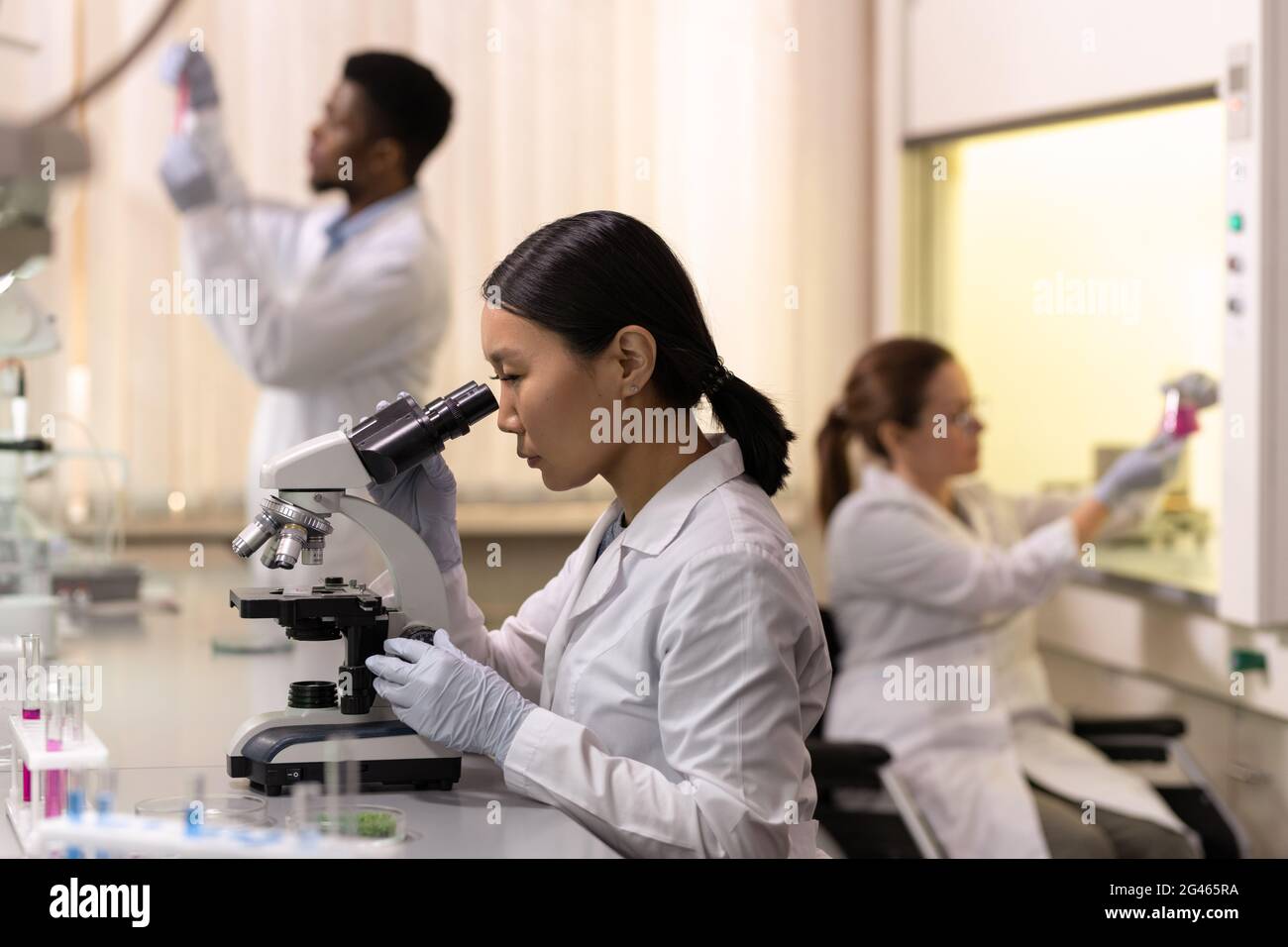 Chinese female scientist looking in microscope in laboratory Stock ...