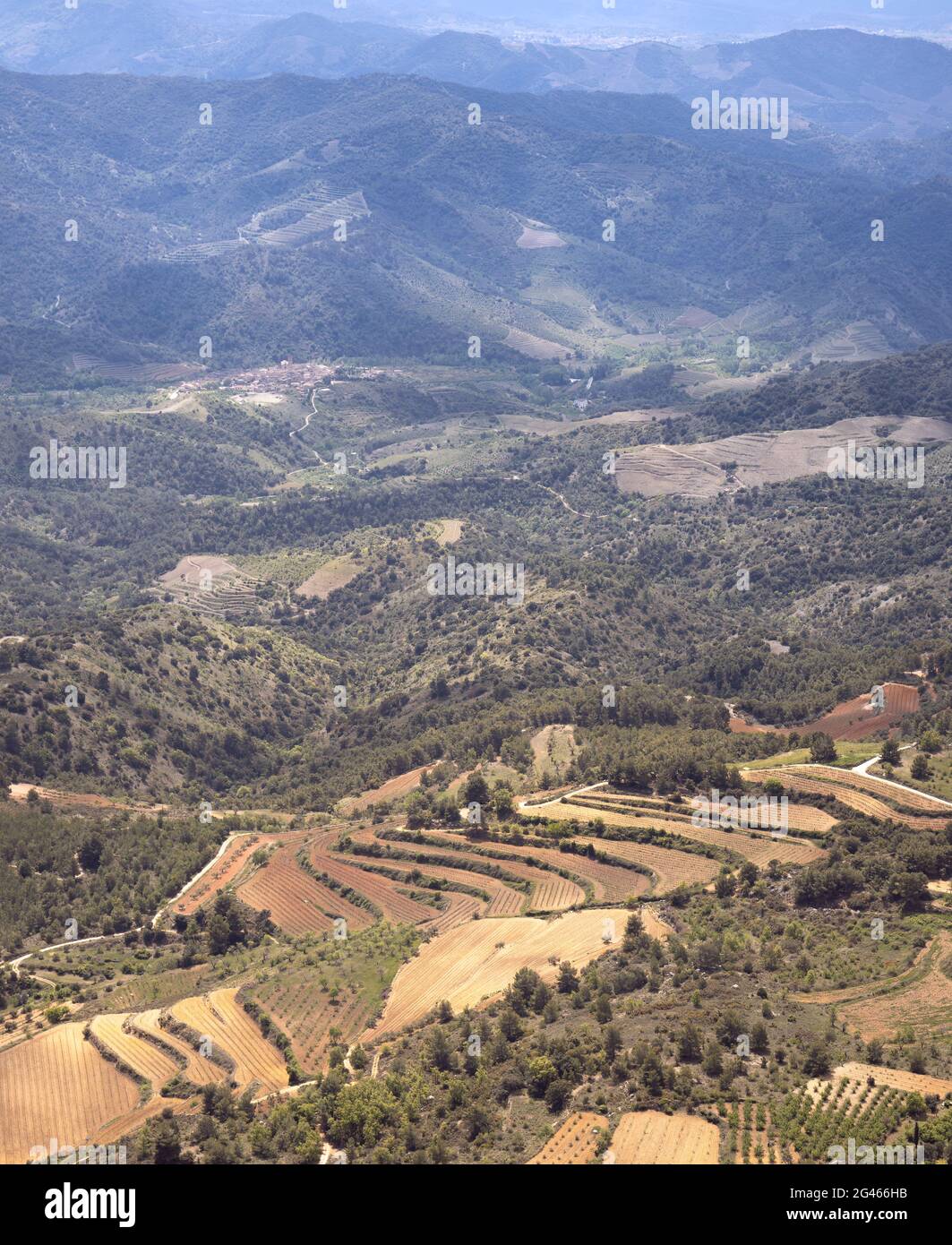 Aerial View of Growing fields in Priorat, Catalonia Stock Photo - Alamy