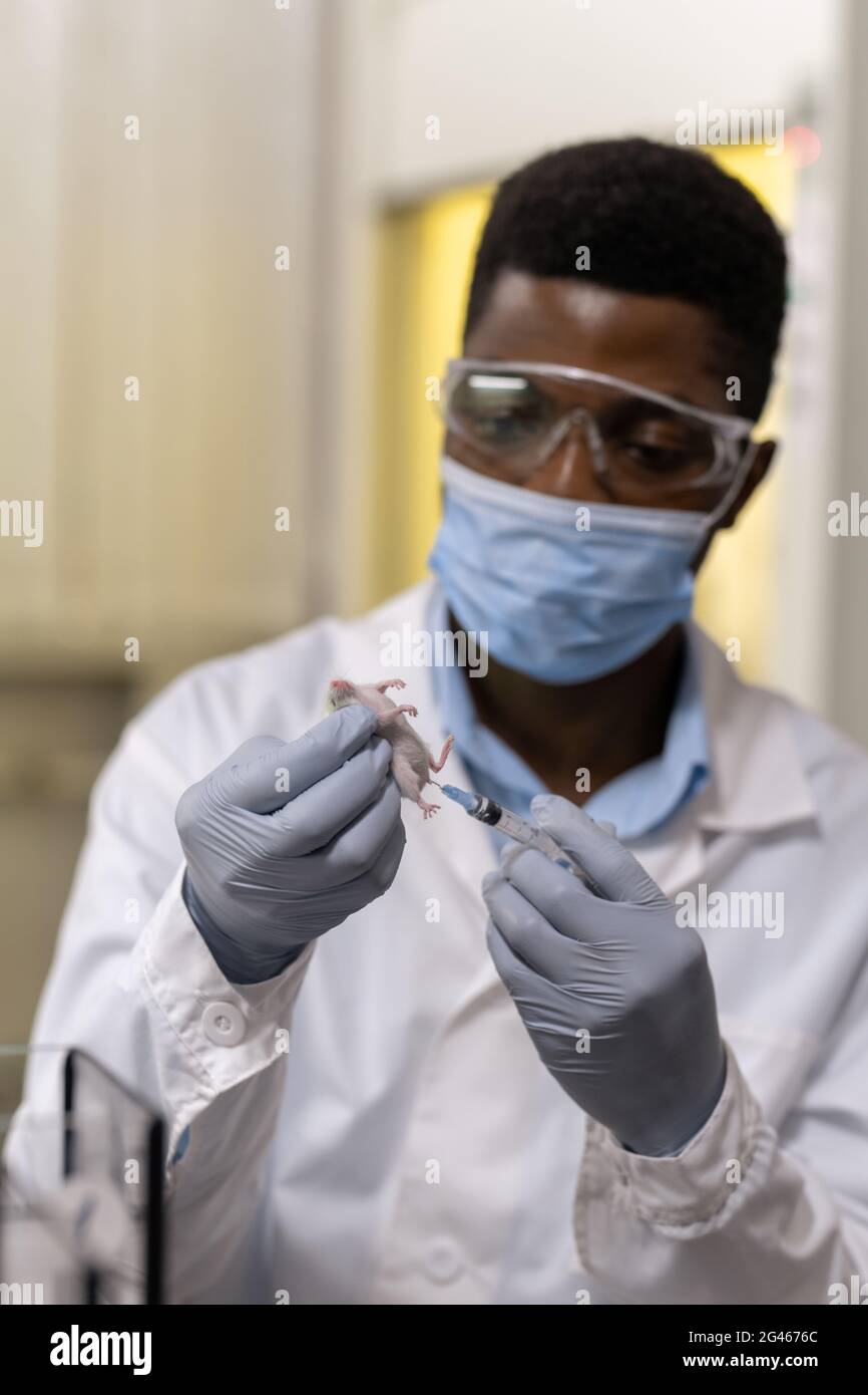 Lab mouse injection hi-res stock photography and images - Alamy