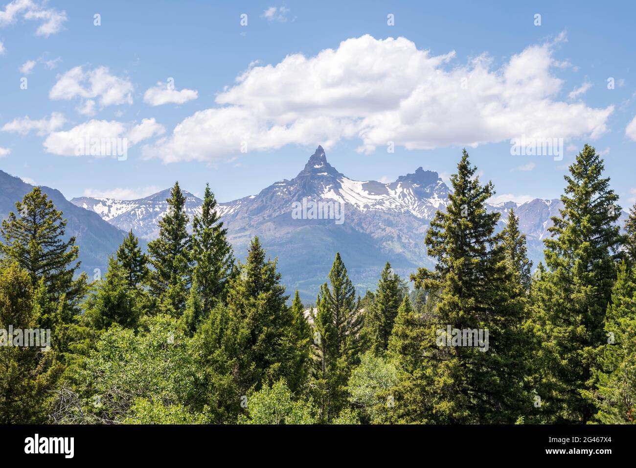 Custer forest hi-res stock photography and images - Alamy