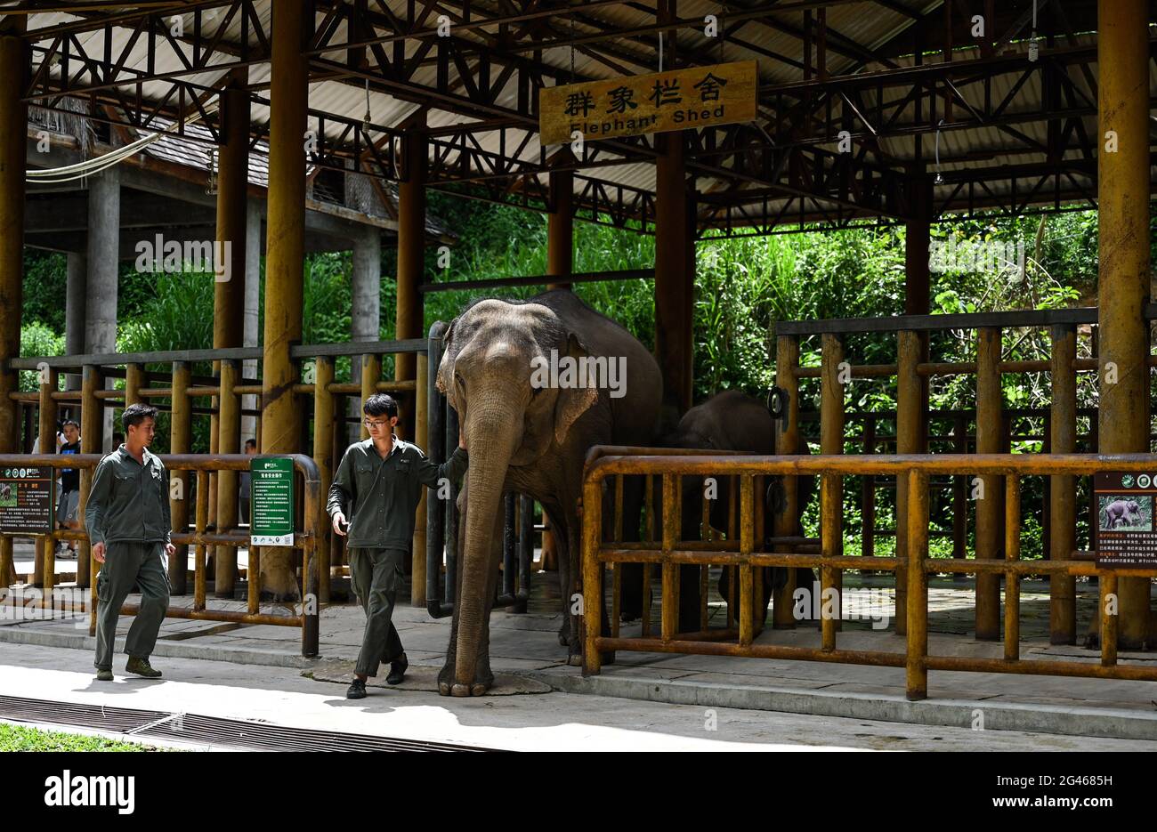 Kunming, China's Yunnan Province. 17th June, 2021. Guardians lead the ...