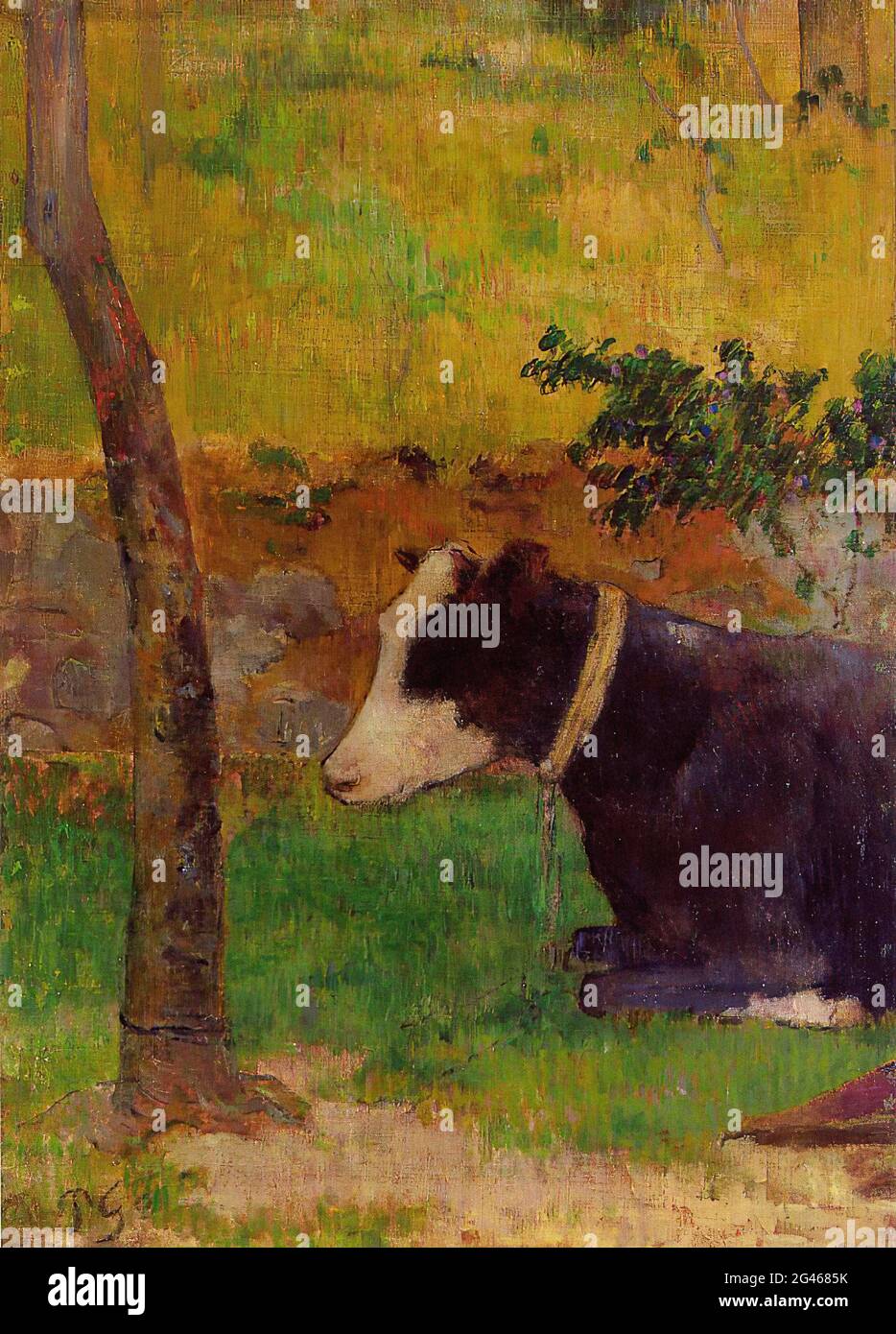 Kneeling paul High Resolution Stock Photography and Images - Alamy