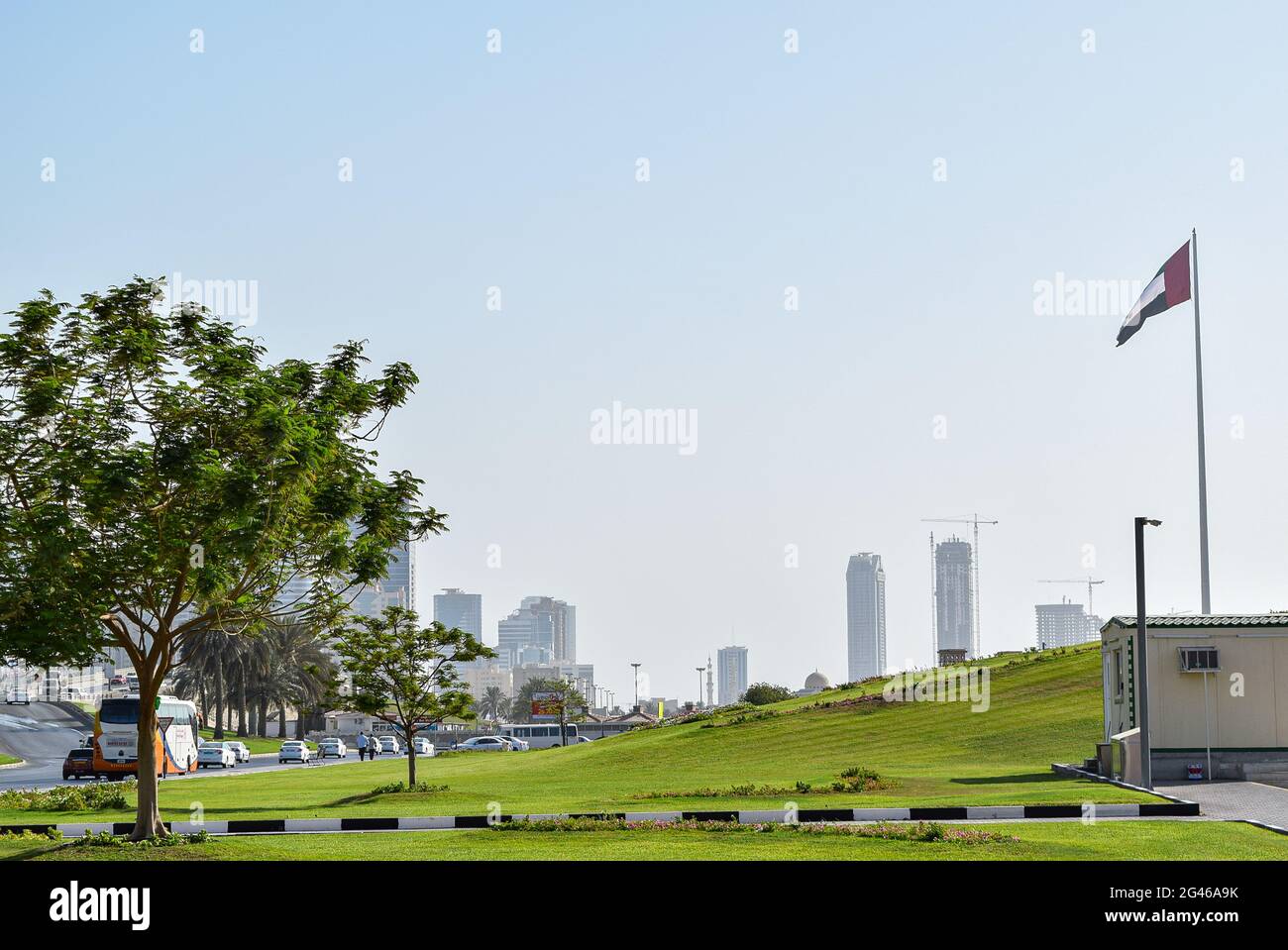 Arab grass hi-res stock photography and images - Alamy