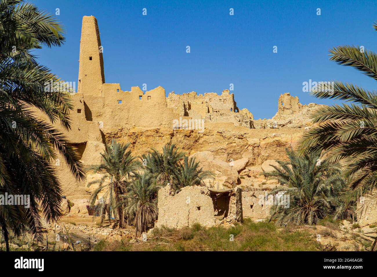 The Temple of Ammon in the oasis town of Siwa in Egypt Stock Photo - Alamy