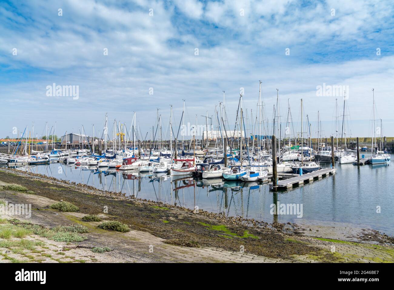 Yerseke hi-res stock photography and images - Alamy