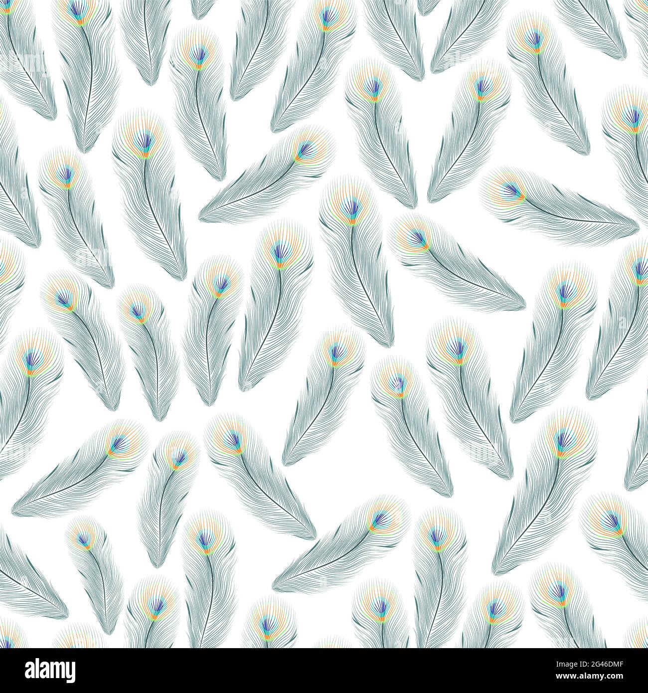 Peacock Feather, Seamless Pattern Vector Illustration EPS 8 Stock Vector Image & Art - Alamy