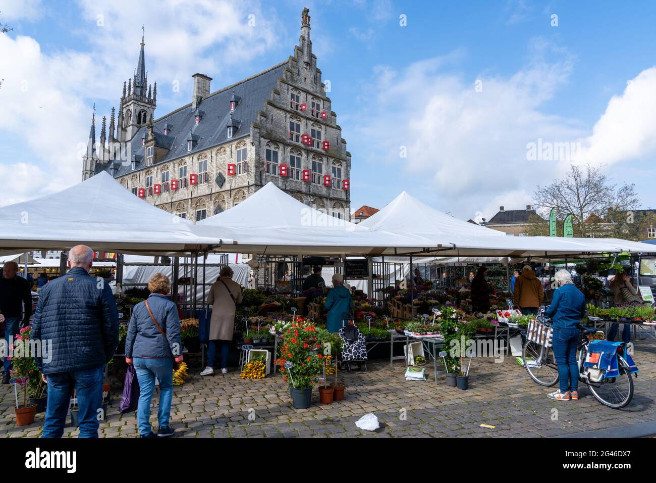 Town hall gouda south hi-res stock photography and images - Alamy