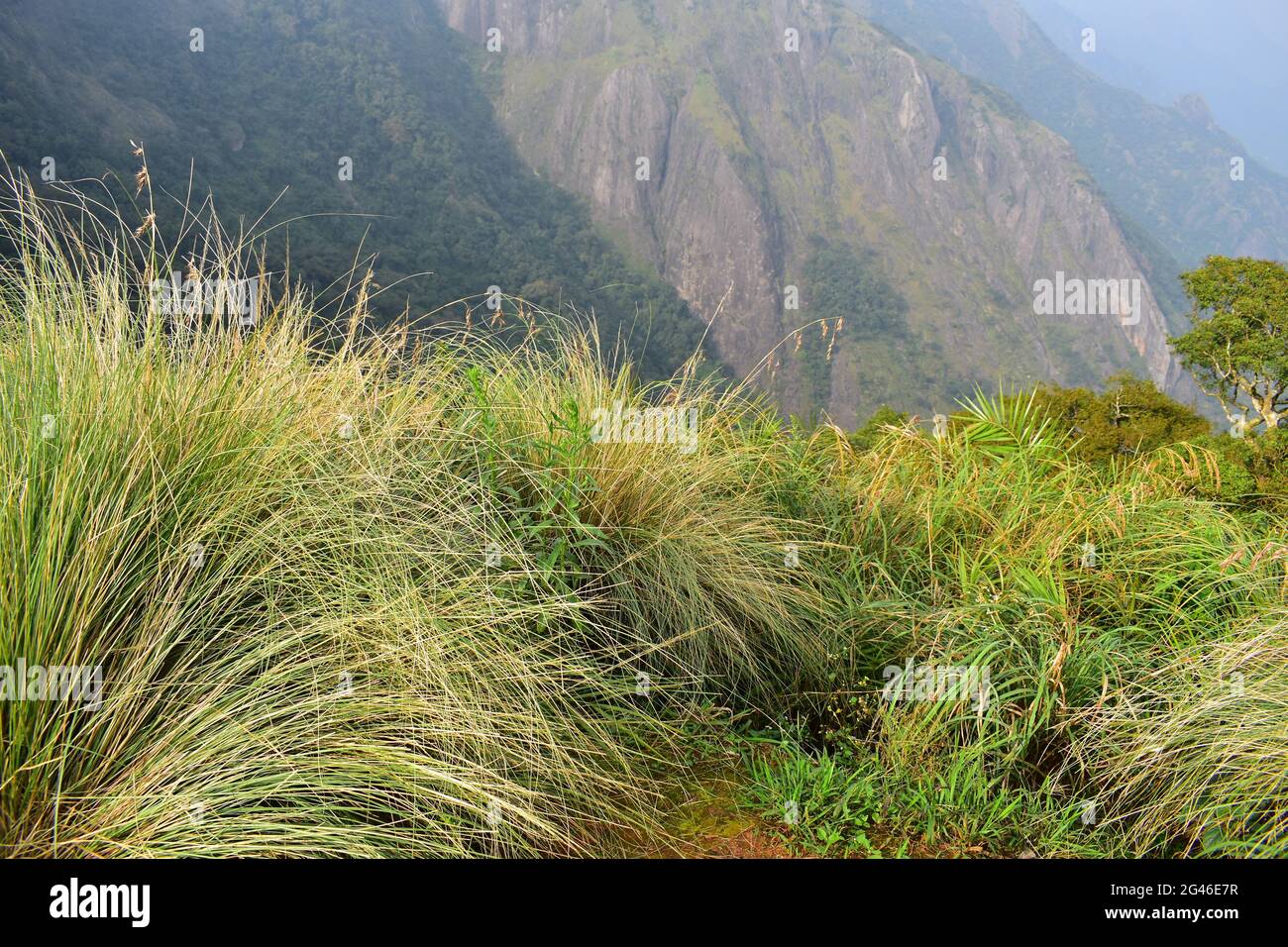 Chathurangapara View Point: The Hills & Mills Destination Stock Photo ...