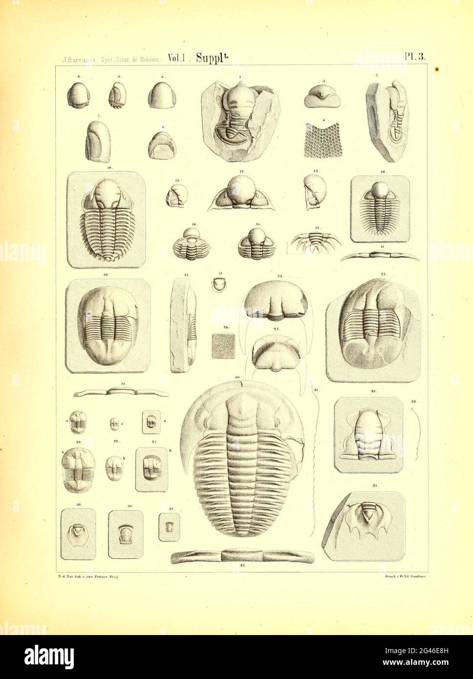 Silurian devonian hi-res stock photography and images - Alamy