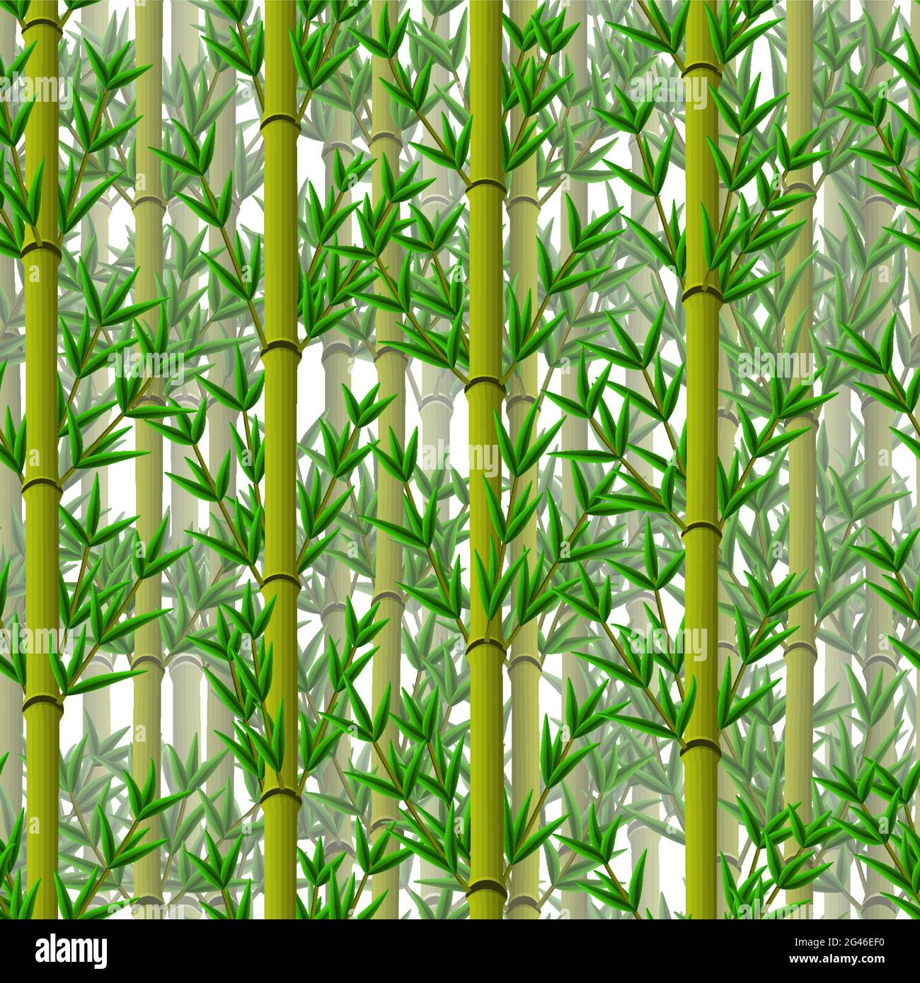 Bamboo grove Stock Vector Images - Alamy