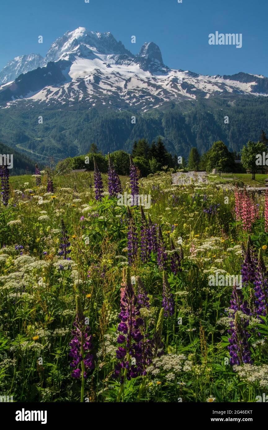 No snow french alps hi-res stock photography and images - Alamy
