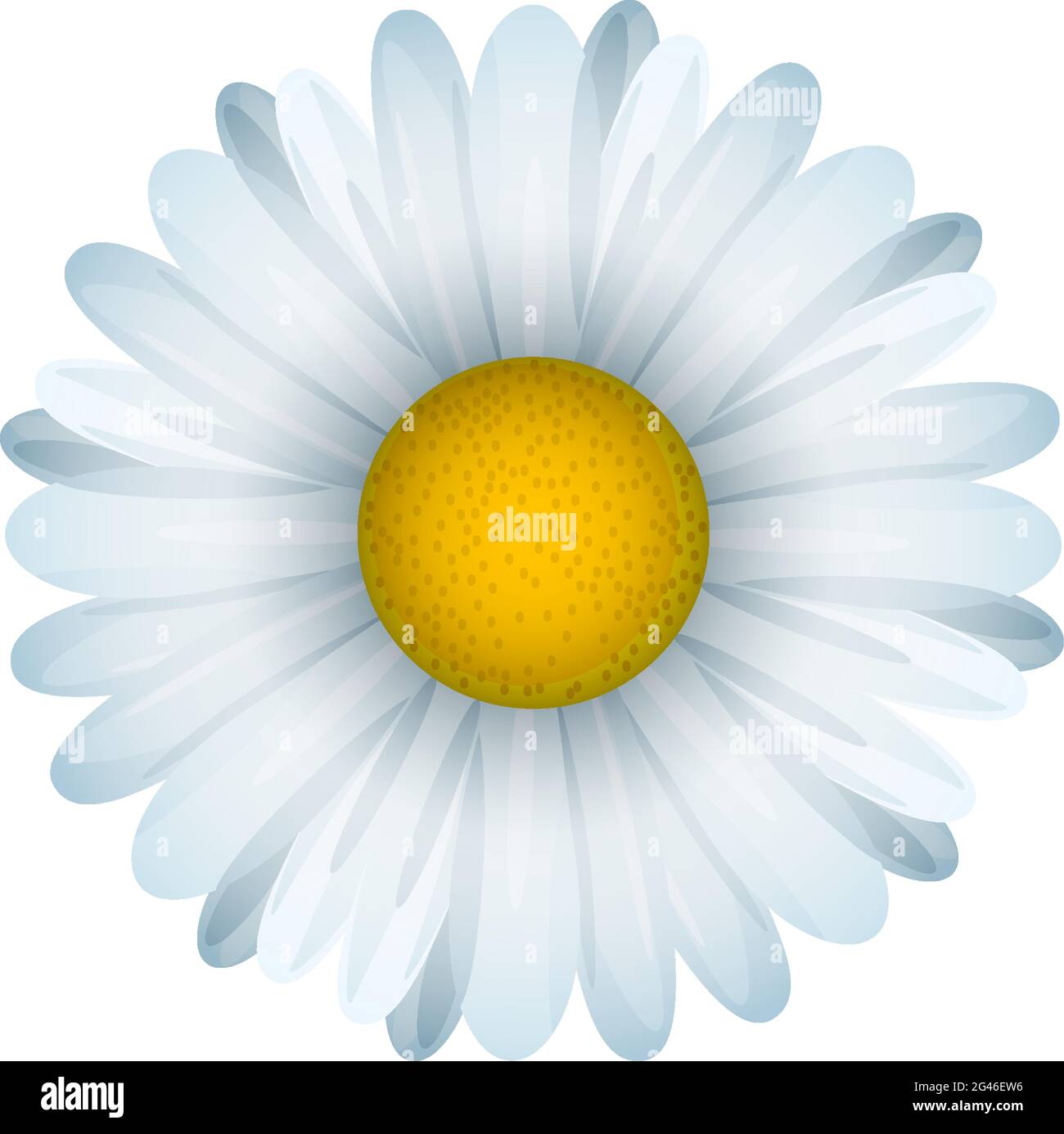 Voluminous chamomile flower, vector illustration EPS 10 Stock Vector ...