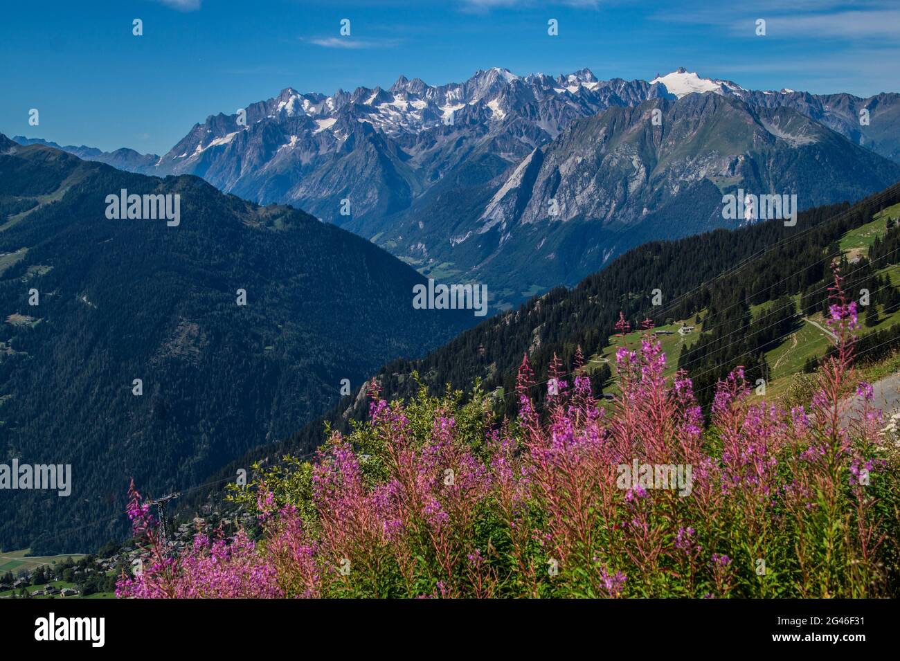 Swiss alps mountain range hi-res stock photography and images - Alamy