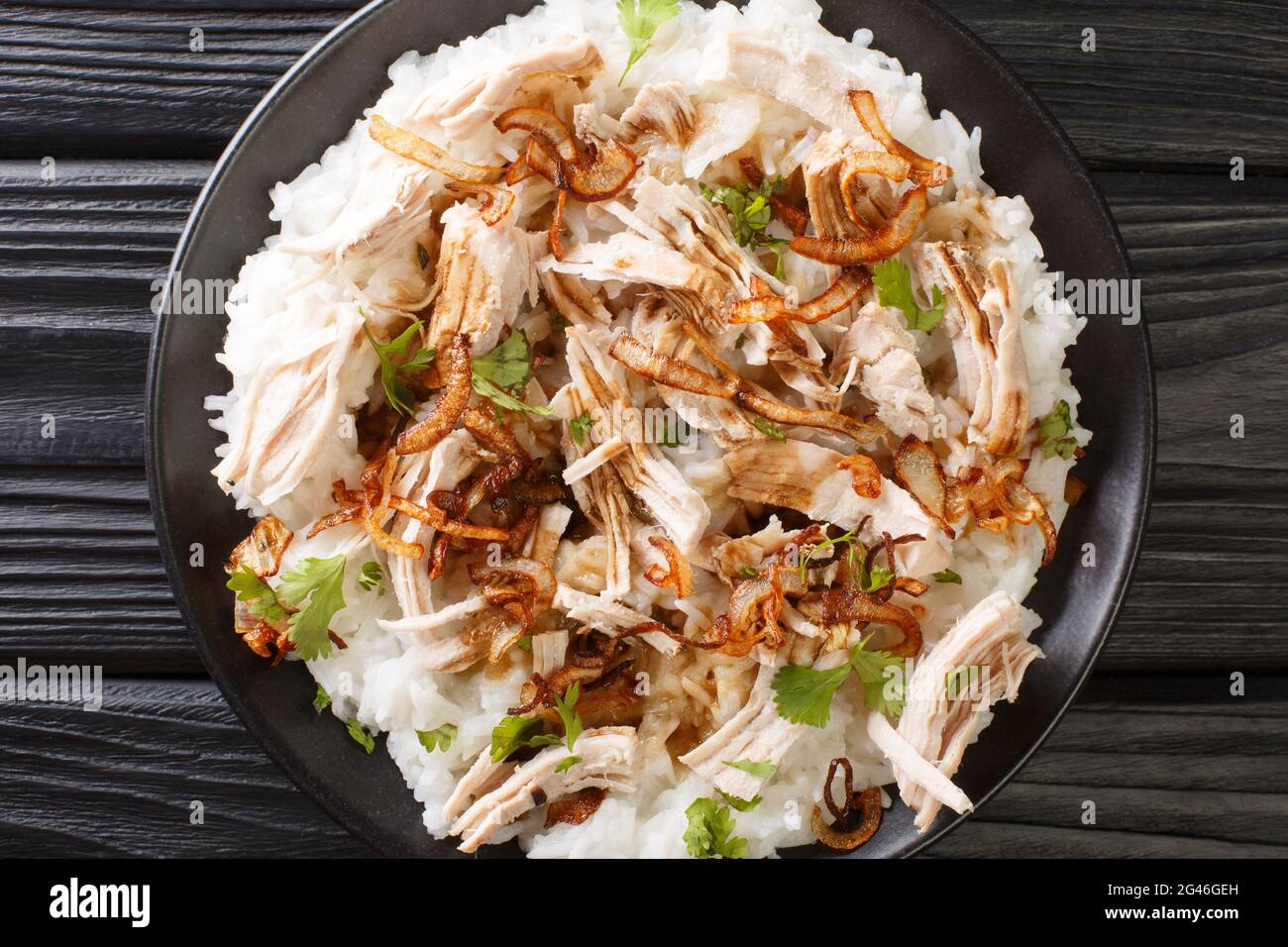 Hirshon Jiayi Taiwanese Turkey Rice closeup in the plate on the table ...