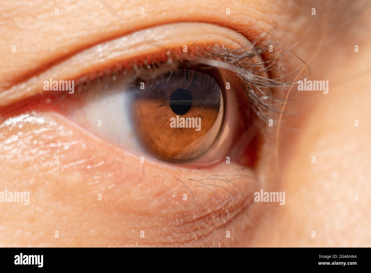 Human body close up hi-res stock photography and images - Alamy