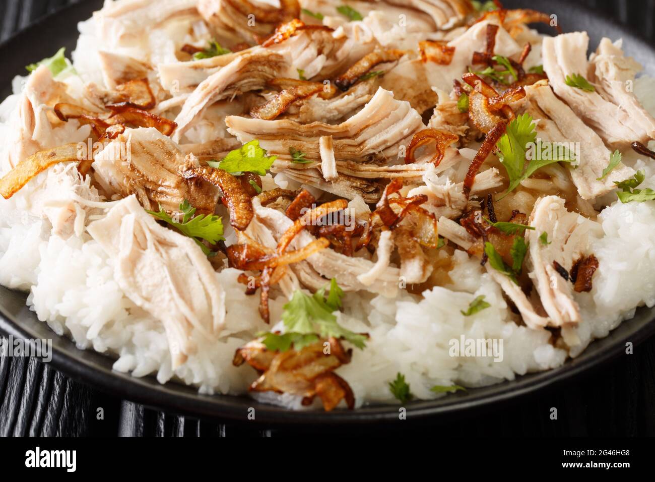 Hirshon Jiayi Taiwanese Turkey Rice closeup in the plate on the table ...