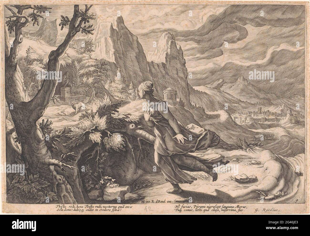 Pyramus And Thisbe Lioness