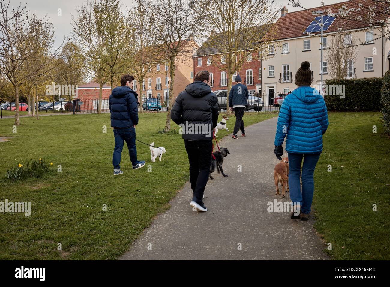 Family walking dog urban hi-res stock photography and images - Alamy