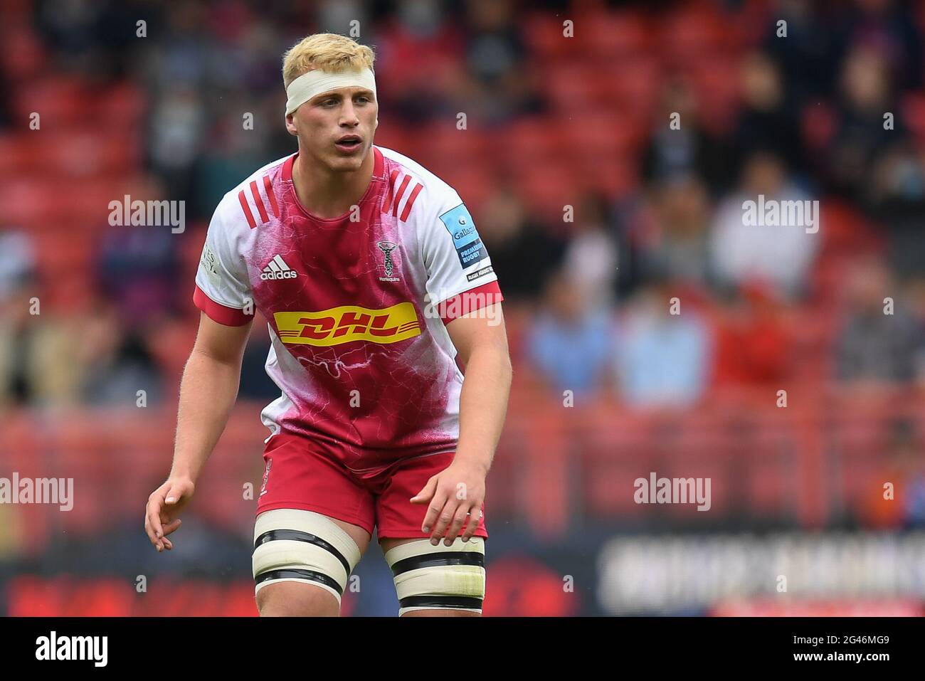 Harlequins rugby 2021 hi-res stock photography and images - Alamy