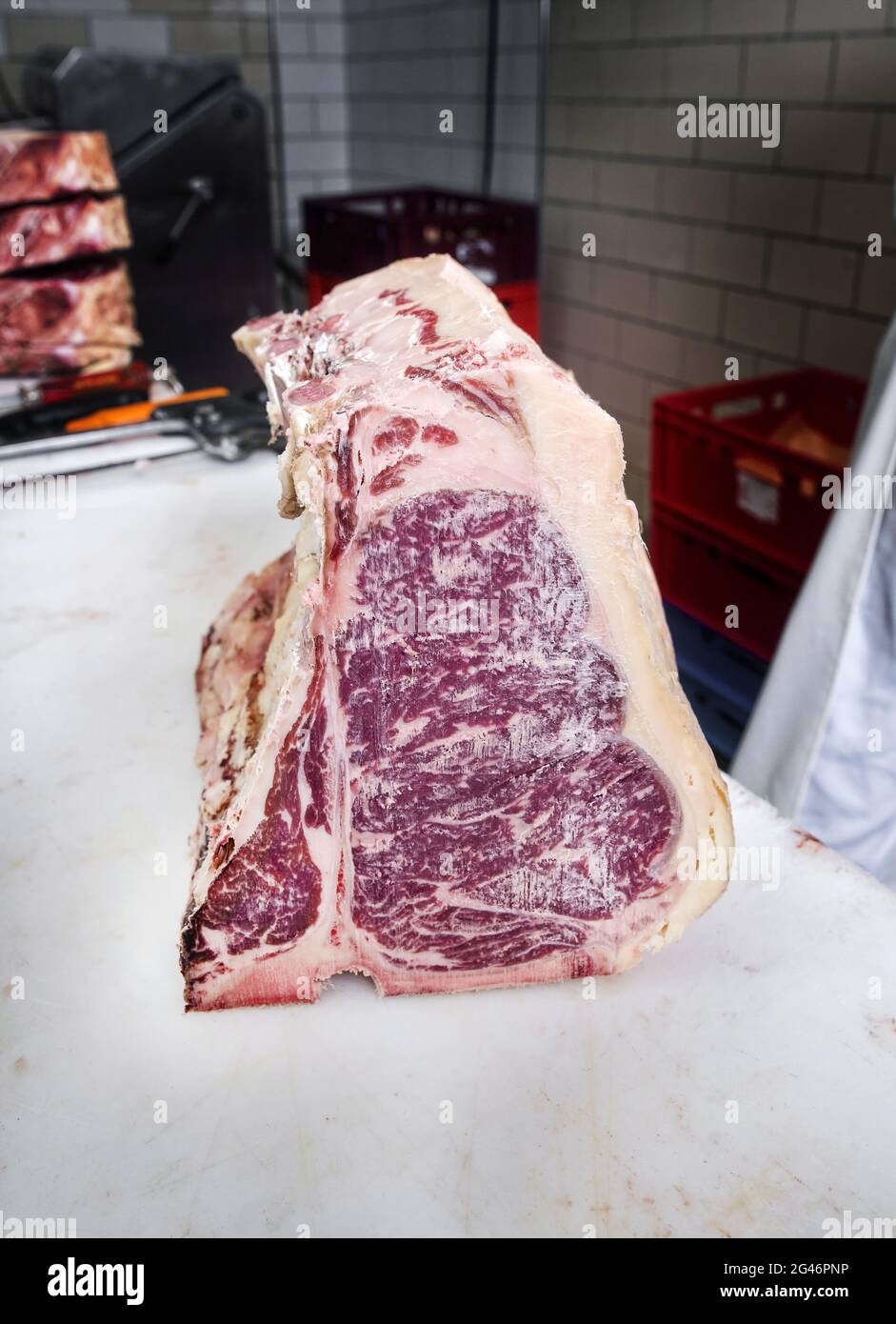 Raw dry aged wagyu porterhouse steak block before cut up as close-up on ...