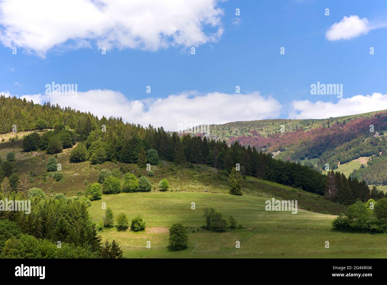 Rural german landscape hi-res stock photography and images - Alamy