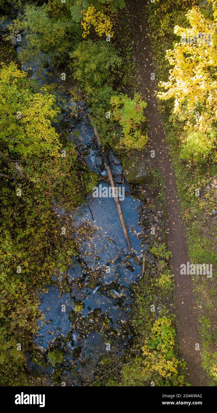 Vertical shot of a water stream surrounded by greenery Stock Photo - Alamy