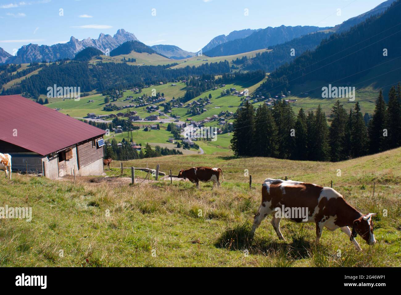 Mosses valley hi-res stock photography and images - Alamy