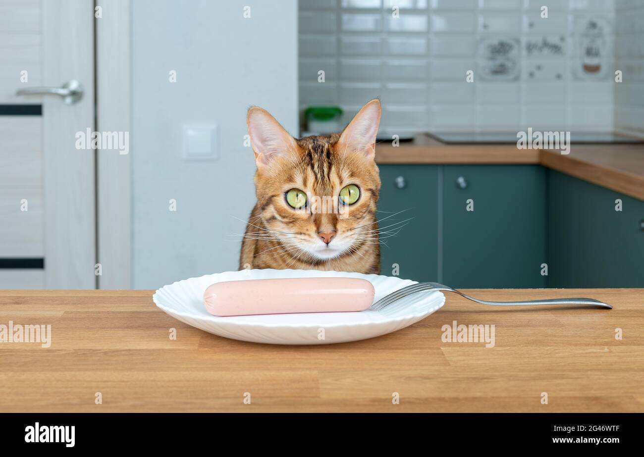 Bad behavior hi-res stock photography and images - Alamy