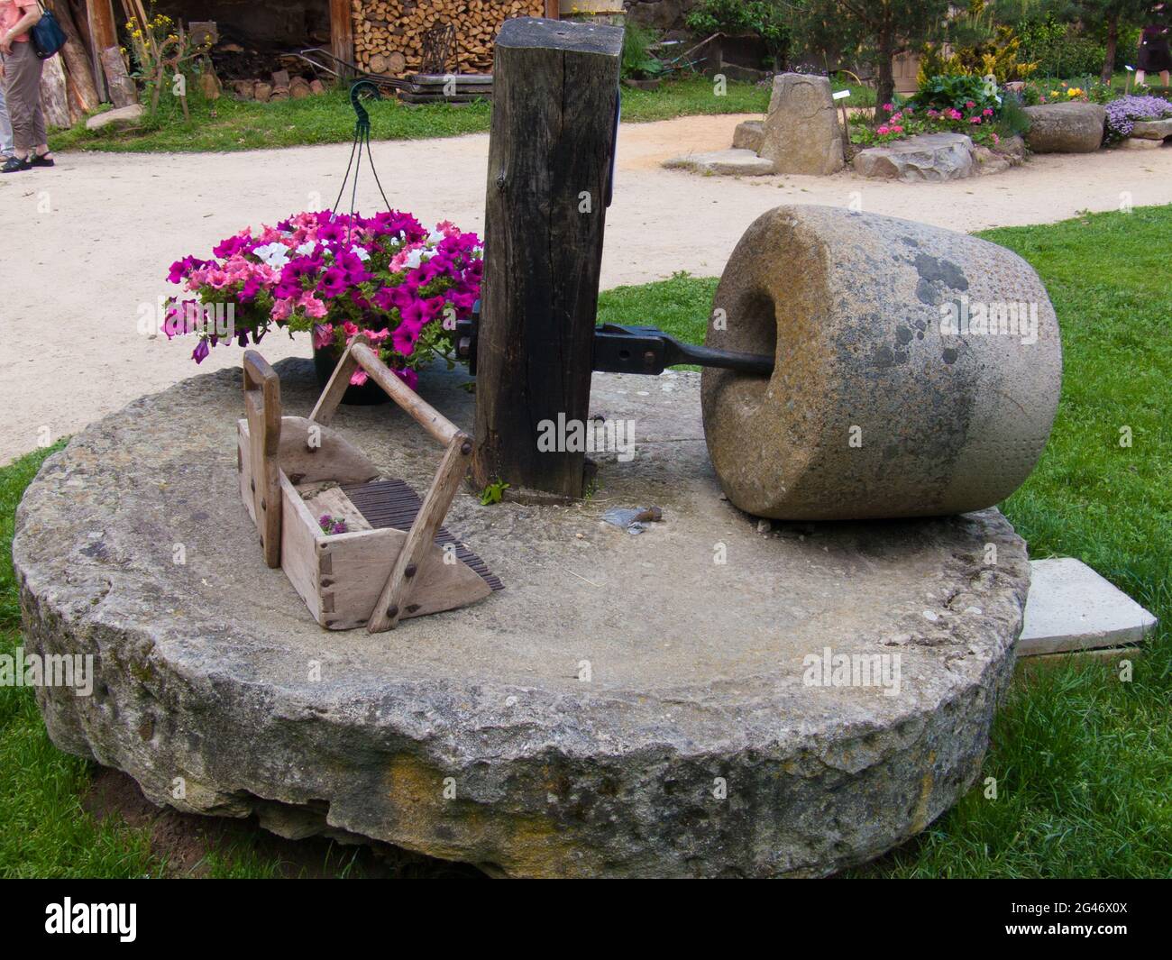 Masson hi-res stock photography and images - Alamy