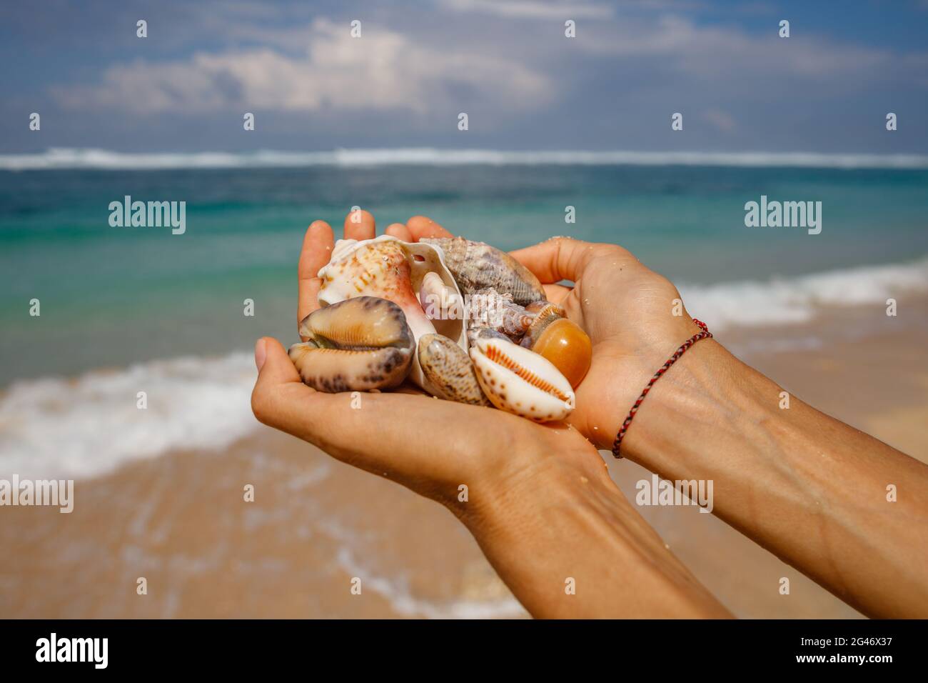 Hands holding shells beach hi-res stock photography and images - Alamy