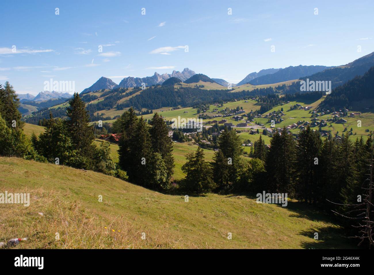 Mosses of europe hi-res stock photography and images - Alamy