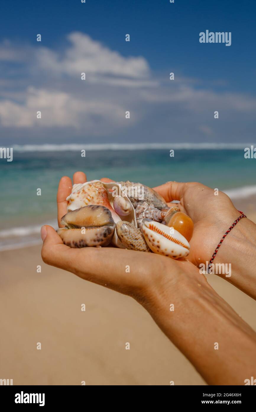 Hands holding shells beach hi-res stock photography and images - Alamy